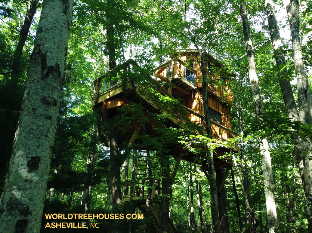 Ridgetop Paradise! Brevard Treehouse 2016 - World Treehouses of ...
