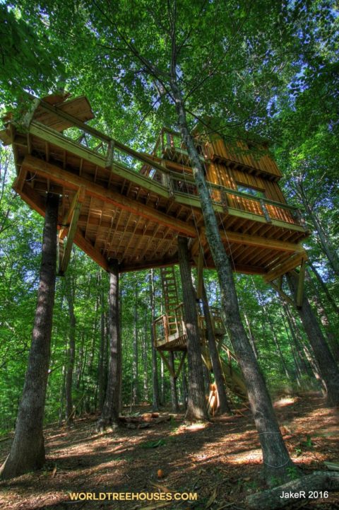 Connect with Nature: Build a tree house in Asheville and western NC ...