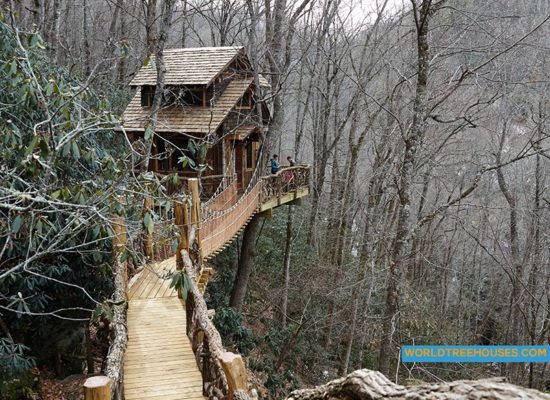 Why build a treehouse? - World Treehouses of Asheville NC