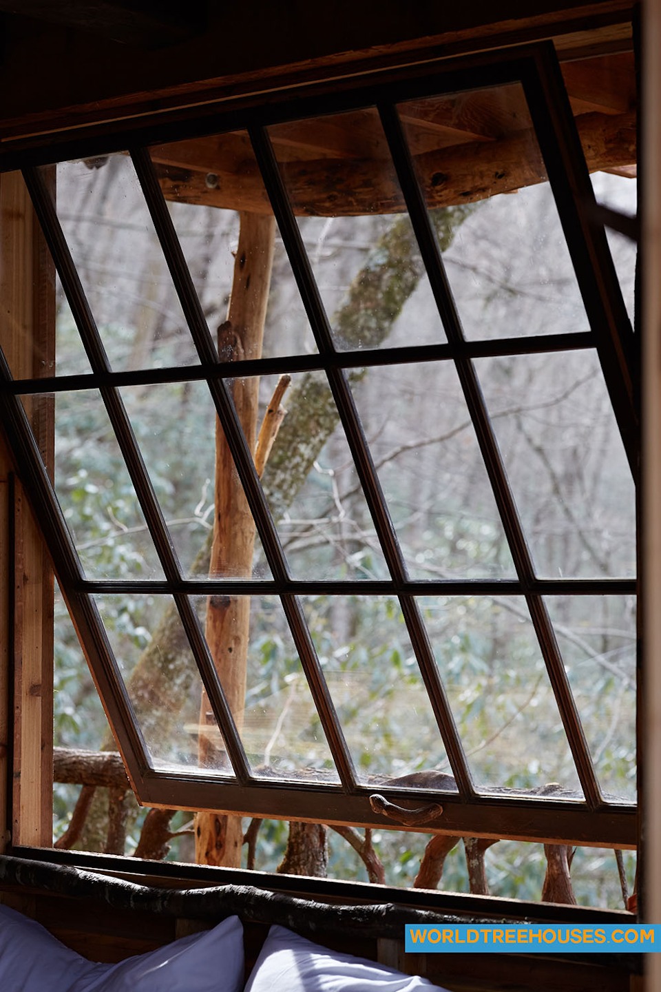 WNC tree house builders : Panthertown Window to the Treetops - World ...