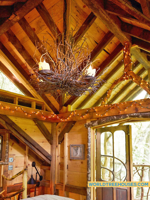 Asheville Treehouse Builder: Panthertown Treehouse: All lit up with ...