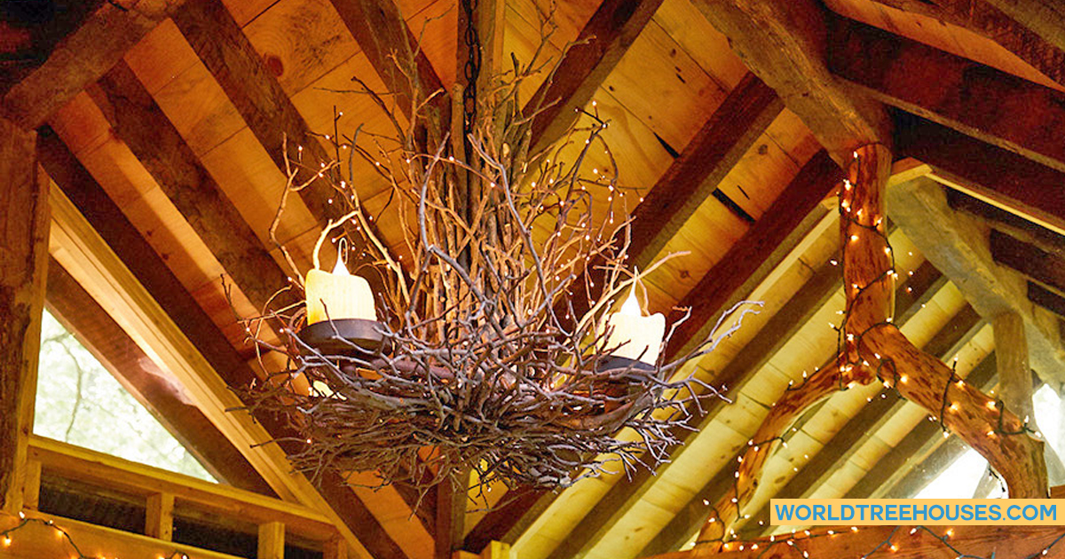 Asheville Treehouse Builder: Panthertown Treehouse: All lit up with ...